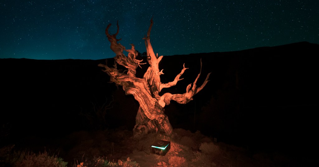 GitHub Archive Program: Making the archives beautiful - The GitHub Blog