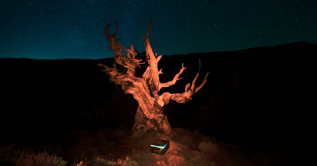 GitHub Archive Program: Making the archives beautiful - The GitHub Blog