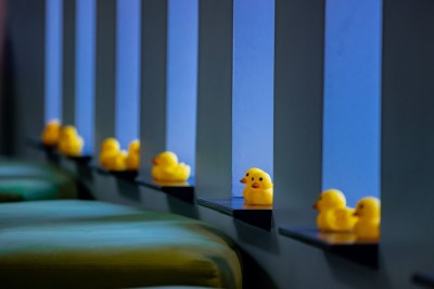 What's with all the ducks? - The GitHub Blog