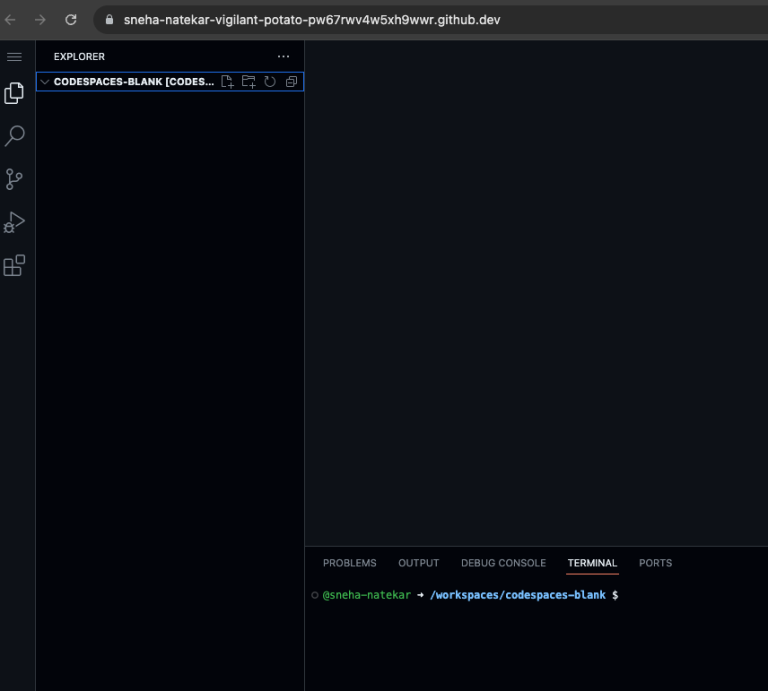 Unleashing Github Codespaces Templates To Ignite Your Development The Github Blog 